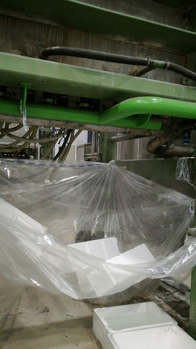 The 5 most awesome things about working in a styrofoam factory – Mama Wren